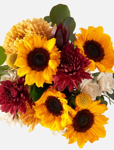 Official UrbanStems - Flower & Plant Same Day Delivery » NYC, DC ...