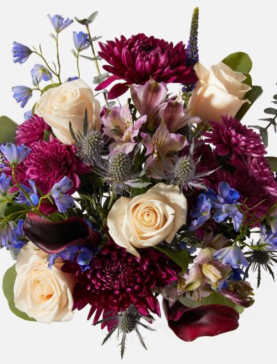 Official UrbanStems - Flower & Plant Same Day Delivery » NYC, DC ...