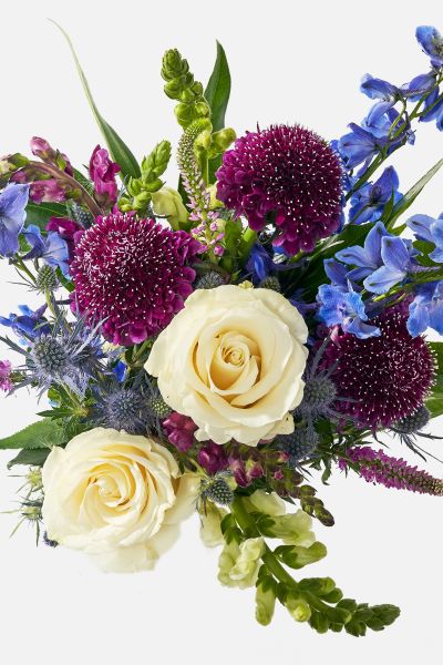 Official UrbanStems - Flower & Plant Same Day Delivery » NYC, DC ...