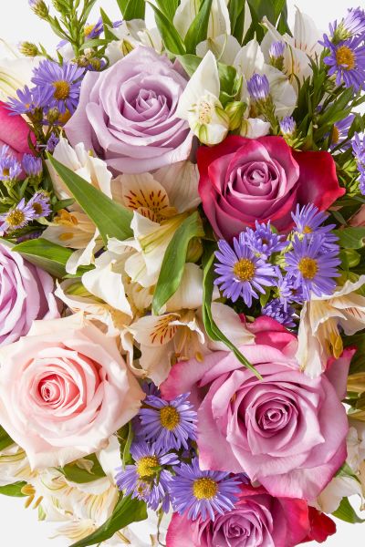 Official UrbanStems - Flower & Plant Same Day Delivery » NYC, DC ...