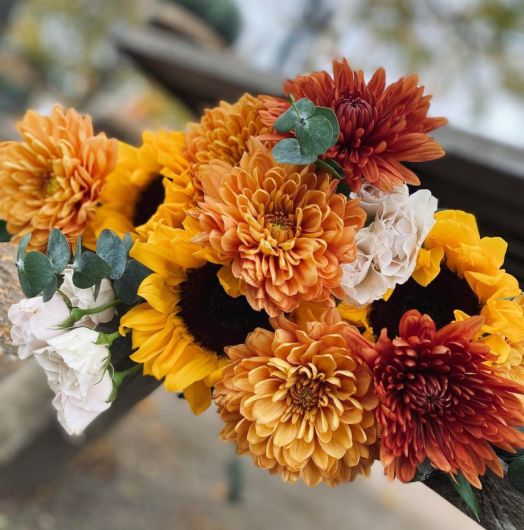 Official UrbanStems - Flower & Plant Same Day Delivery » NYC, DC ...